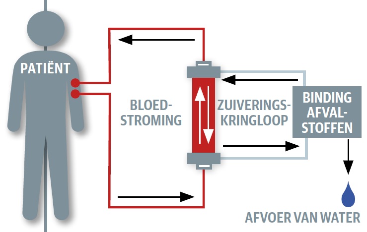 Drie manieren om bloed te zuiveren - KIJK Magazine