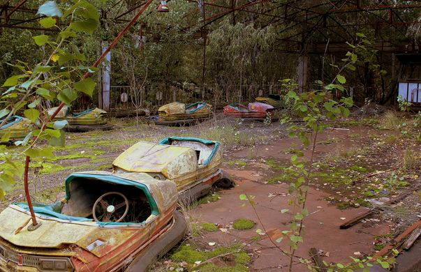 Populatie wolven in Tsjernobyl groeit - KIJK Magazine