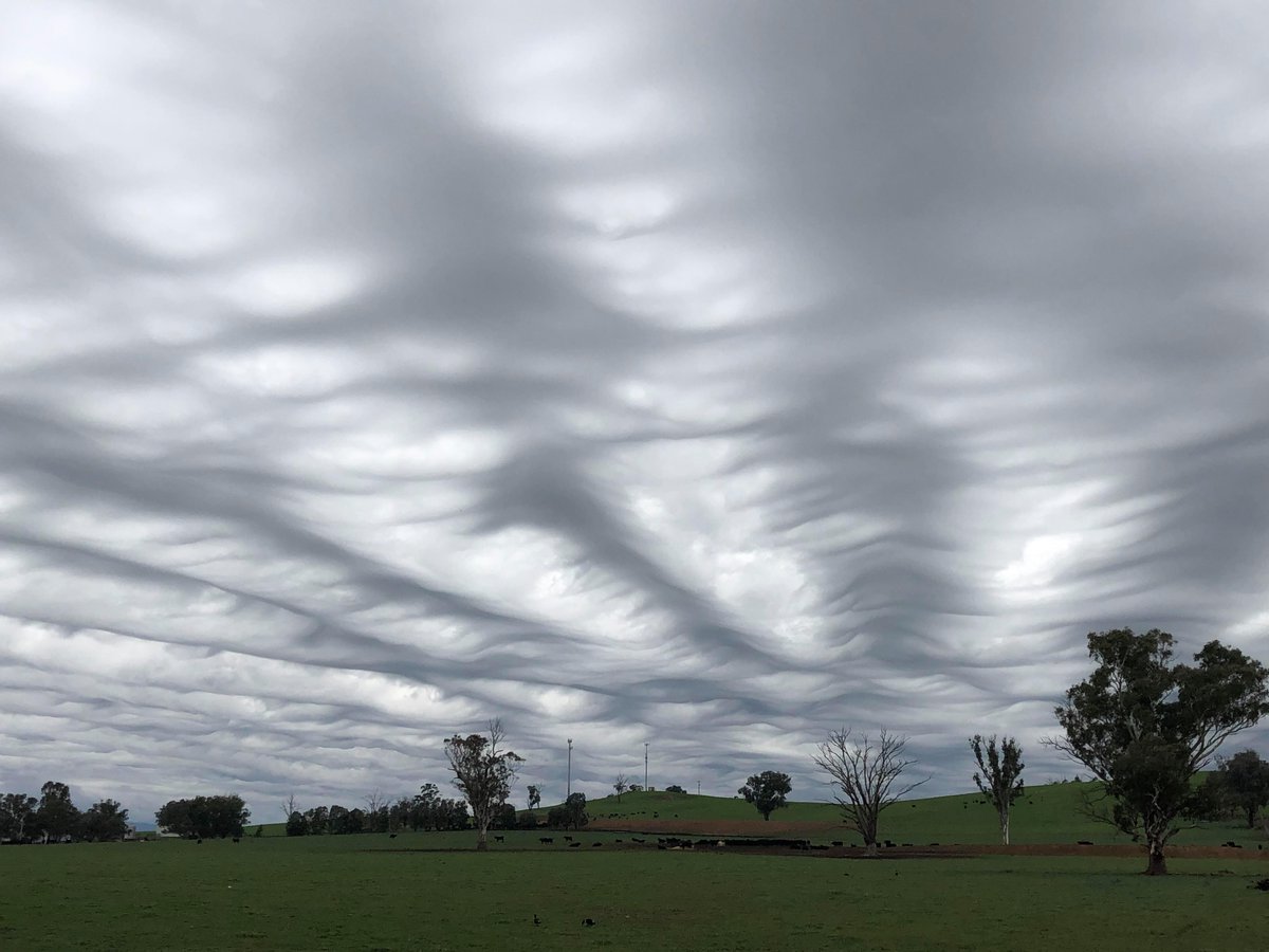 Picture Perfect: wonderbaarlijk wolkendek - KIJK Magazine