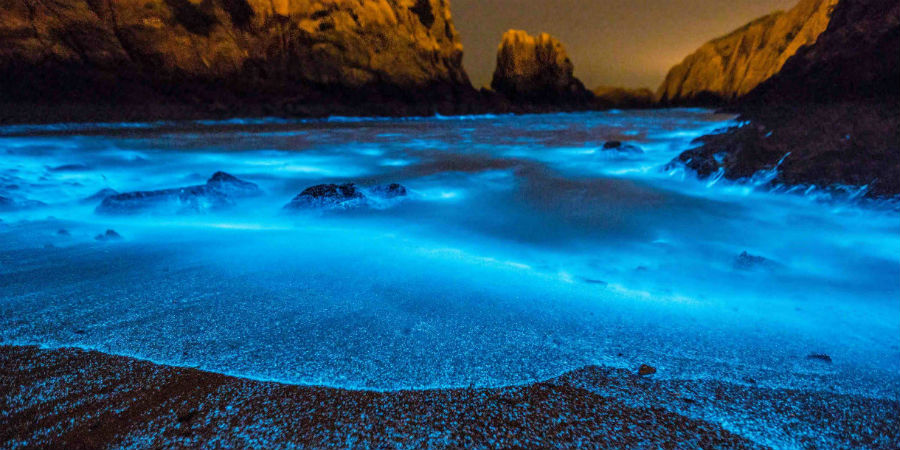 Picture Perfect: bizar blauwe zee - KIJK Magazine