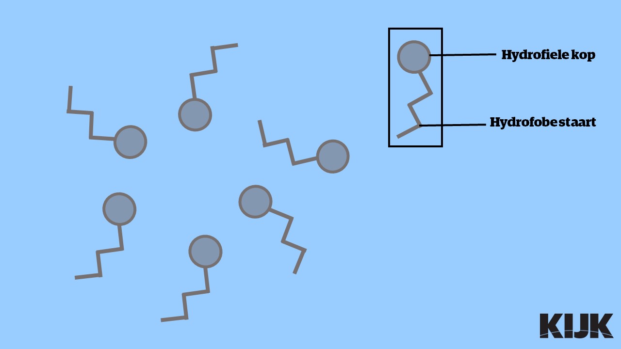 Dit is hoe zeep de strijd met het coronavirus aangaat - KIJK Magazine