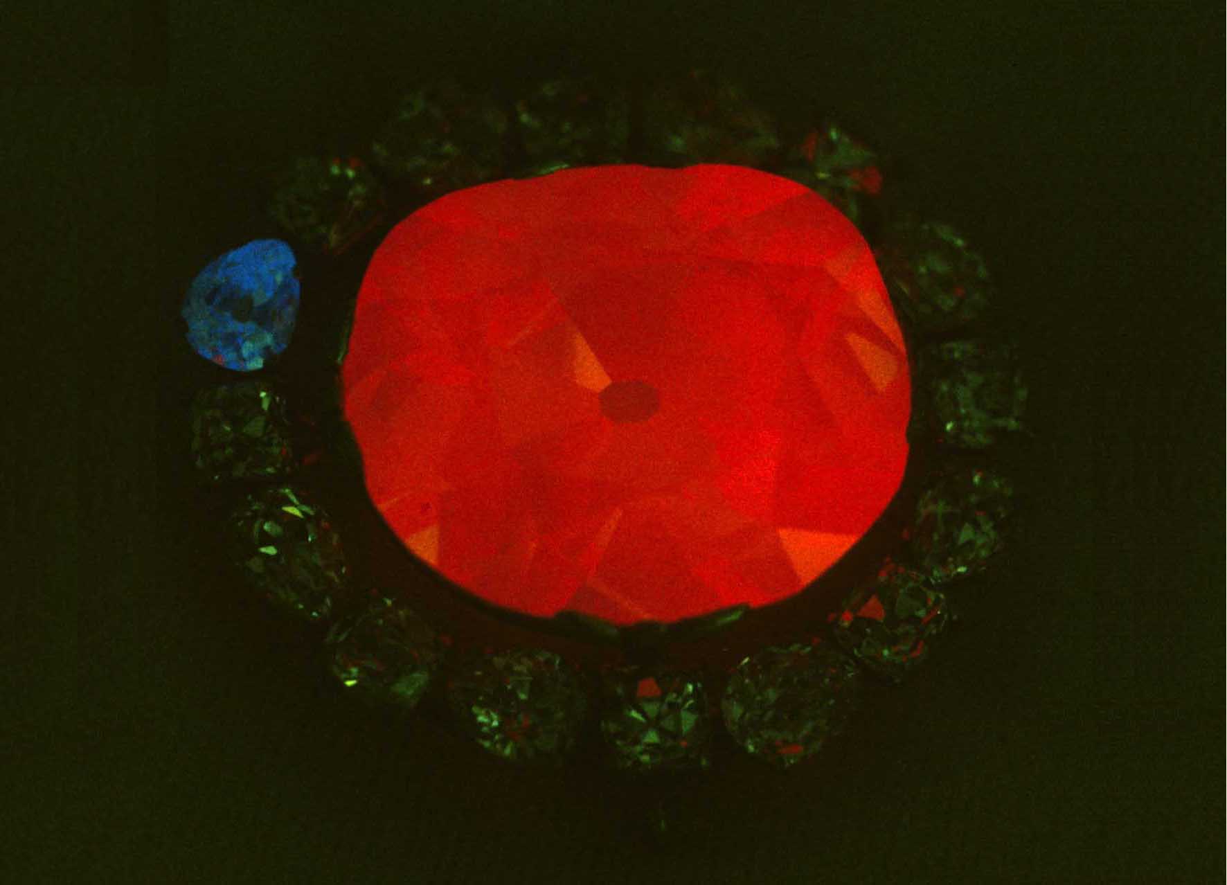 Drie soorten lichtshows in de natuur - KIJK Magazine