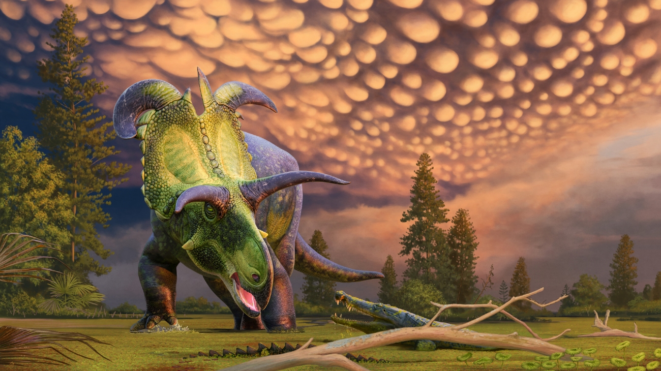 Nieuw ontdekte dinosoort Lokiceratops had reusachtige hoorns - KIJK ...