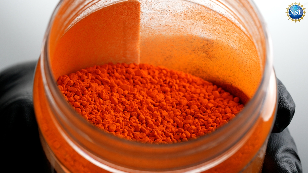 Wetenschappers maken huid van muis doorzichtig - KIJK Magazine