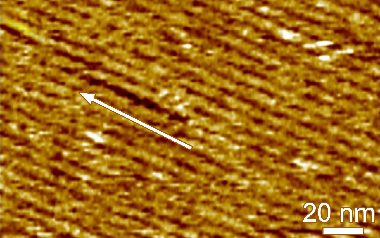 Zijn elektronica gemaakt van zijde de toekomst? - KIJK Magazine