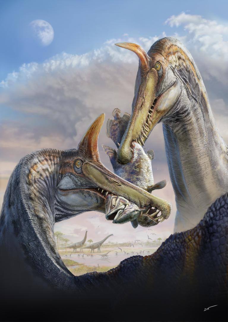 Nieuwe Spinosaurus onthult hoe deze reusachtige viseters leefden - KIJK ...